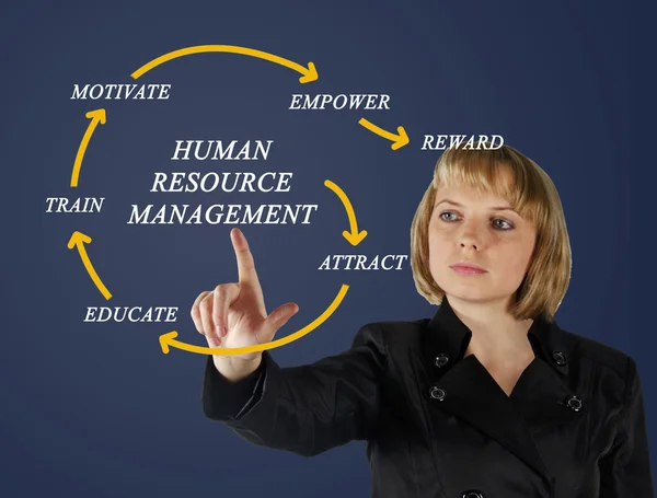 Human resource management Stock Photos, Royalty Free Human resource ...