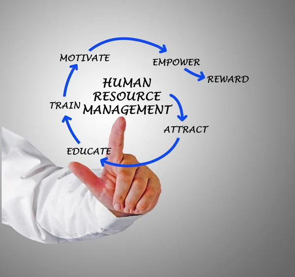 Human resource management Stock Photos, Royalty Free Human resource ...