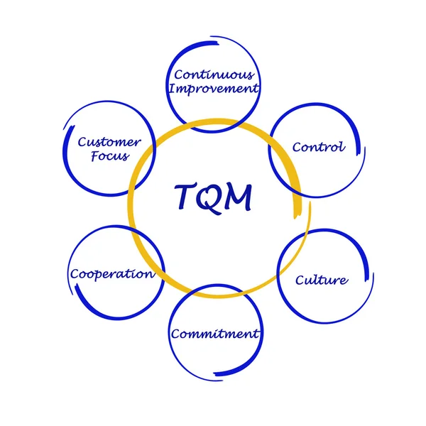 Tqm diagram — Stock Photo © vaeenma #30944407