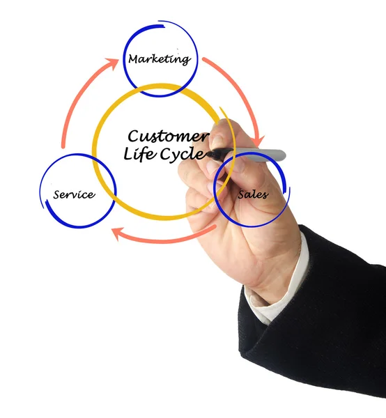 Customer lifetime cycle Stock Photos, Royalty Free Customer lifetime ...