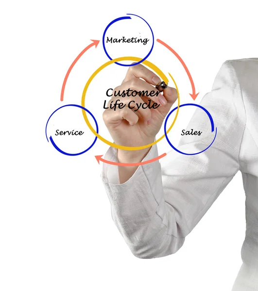 Customer lifetime cycle Stock Photos, Royalty Free Customer lifetime ...