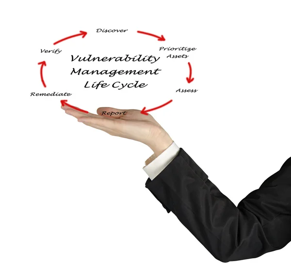 vulnerability management of life cycle - Stock Image - Everypixel