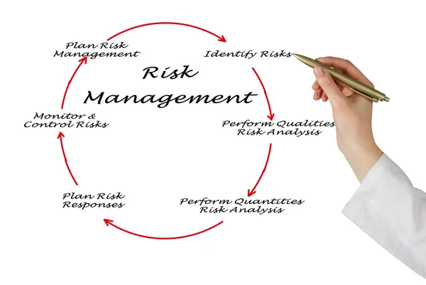 Components of Risk Management Process — Stock Photo © vaeenma #177377346