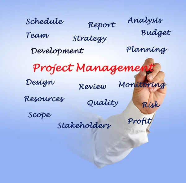Diagram of Project Management — Stock Photo © vaeenma #167071588