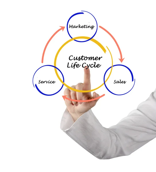 Customer lifetime cycle Stock Photos, Royalty Free Customer lifetime ...