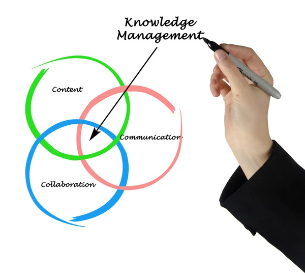 Diagram of knowledge management — Stock Photo © vaeenma #97492594