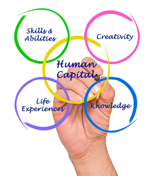 Human capital - Stock Image - Everypixel