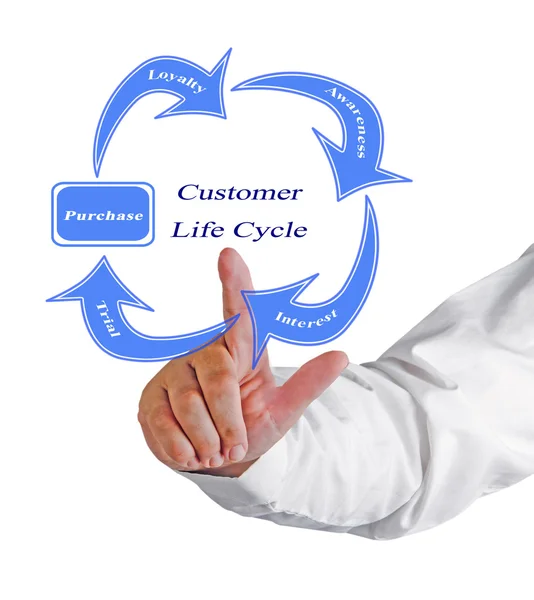 Customer lifetime cycle Stock Photos, Royalty Free Customer lifetime ...