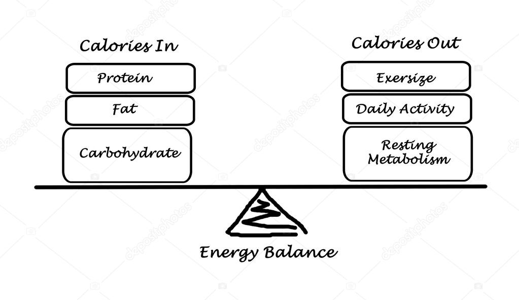 Balance between Energy intake and Energy expenditure Stock Photo by ...