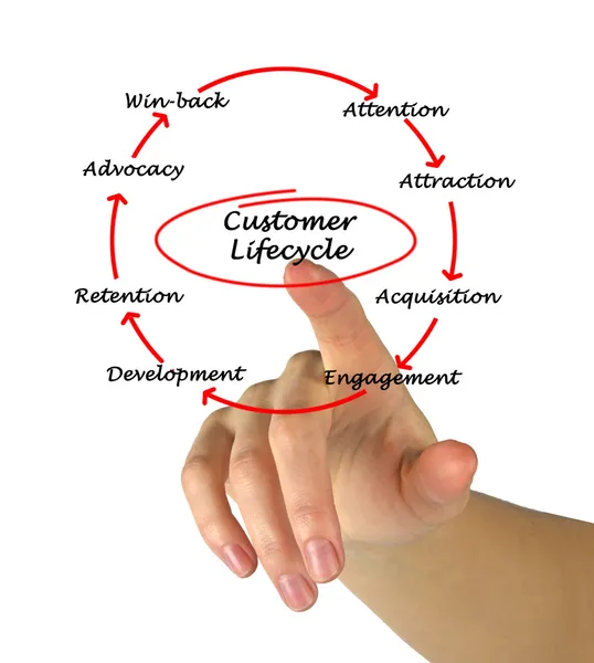 Customer lifetime cycle Stock Photos, Royalty Free Customer lifetime ...