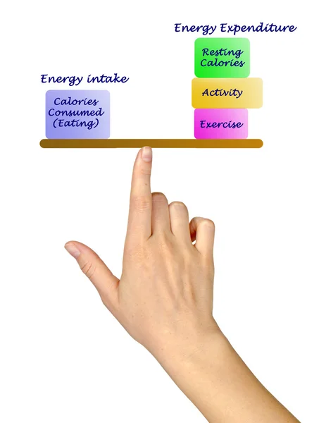 Balance between Energy intake and Energy expenditure Stock Photo by ...