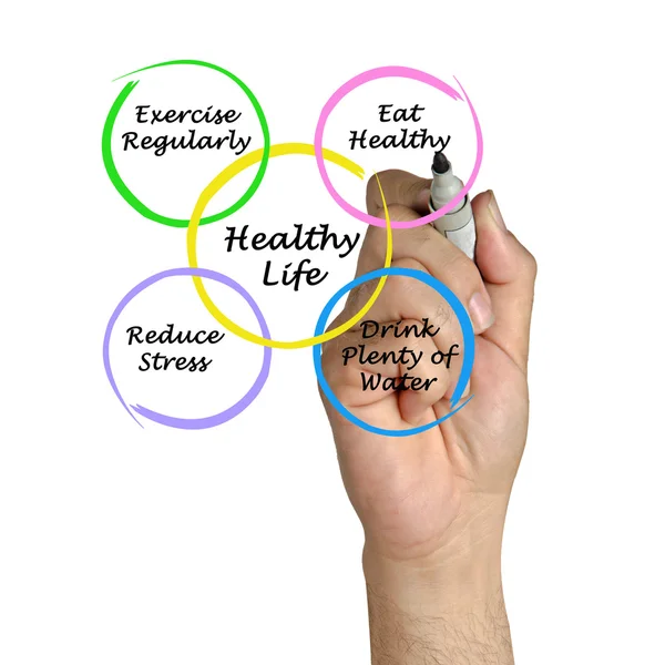 Diagram of healthy life Stock Photo by ©vaeenma 42888723 Diagram of healthy life Stock Photo by ©vaeenma 42888723