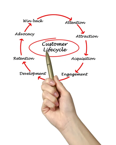 Customer life cycle Stock Photos, Royalty Free Customer life cycle ...