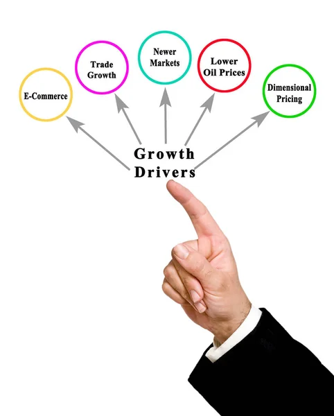 Growth model Stock Photos, Royalty Free Growth model Images | Depositphotos