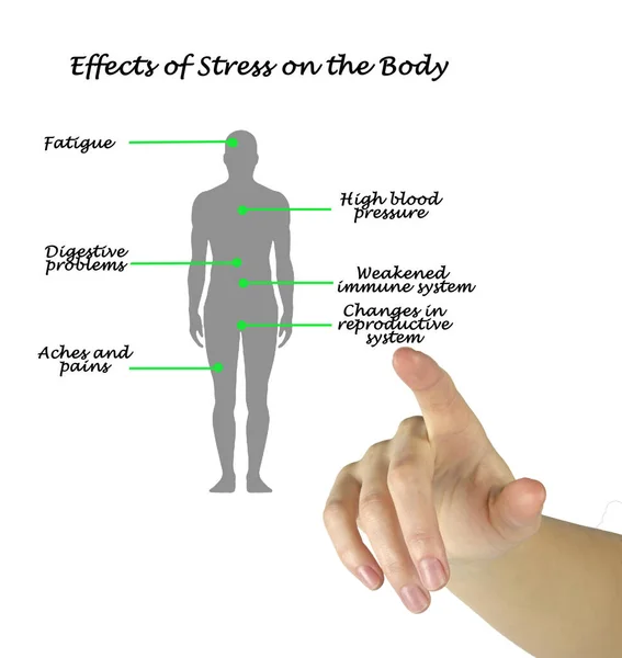 Stress response Stock Photos, Royalty Free Stress response Images ...