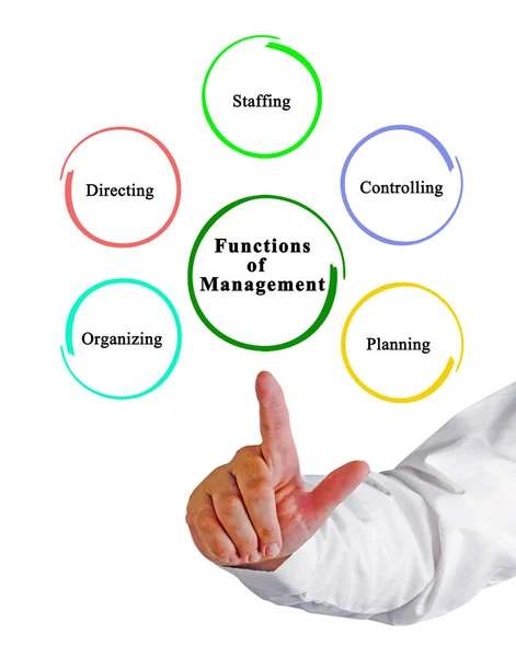 369 Stock Photos, Royalty Free 369 Images | Depositphotos