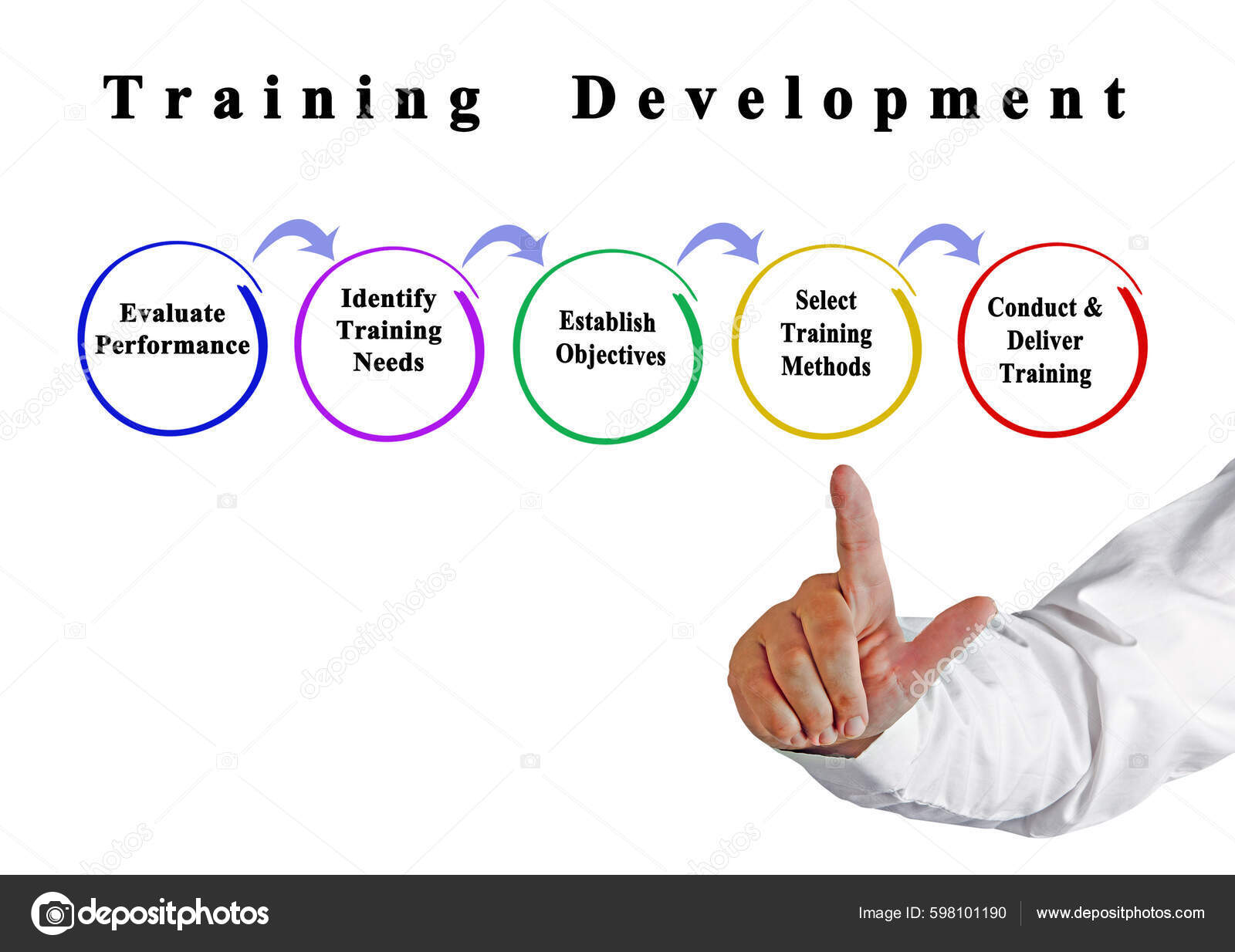 Five Stages Training Development — Stock Photo © vaeenma #598101190
