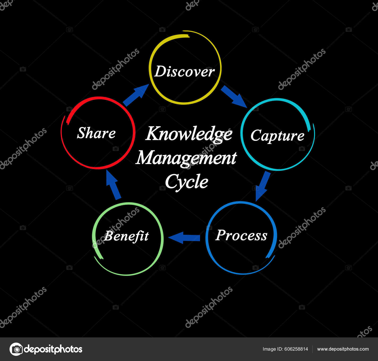 Knowledge Management Cycle