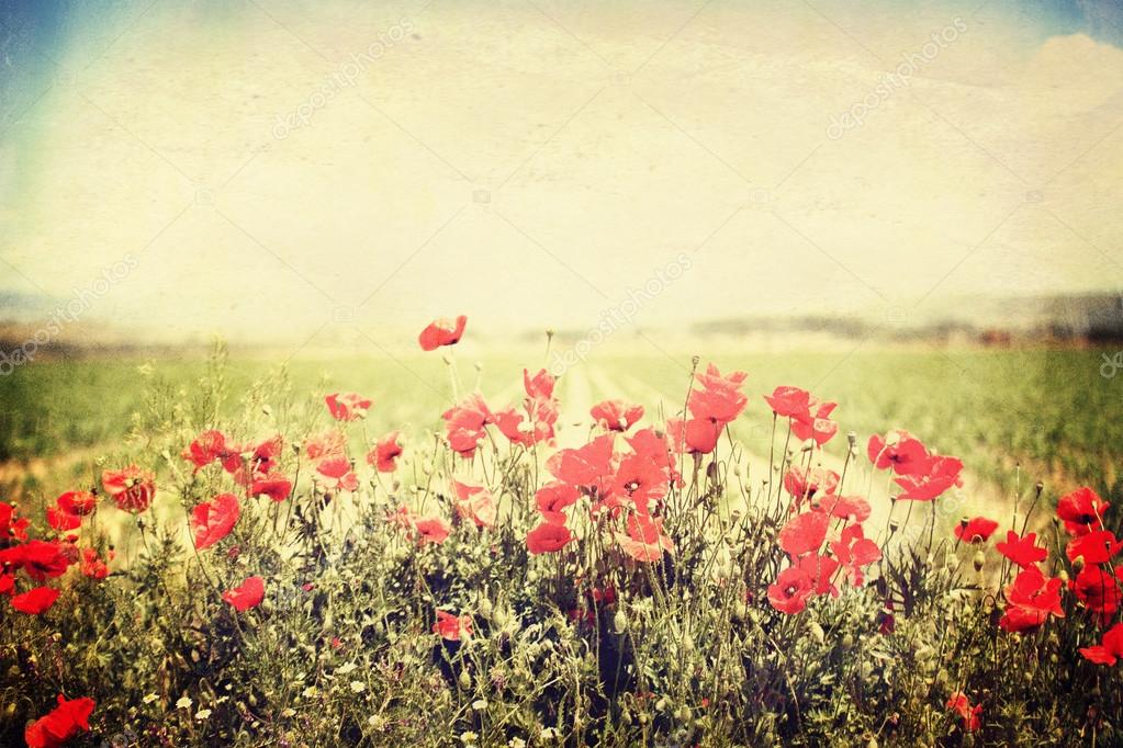 Vintage flowers — Stock Photo © sliper84 #25647225