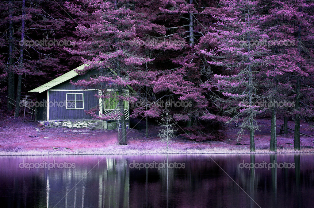 Infrared purple landscape — Stock Photo © sliper84 #47260697