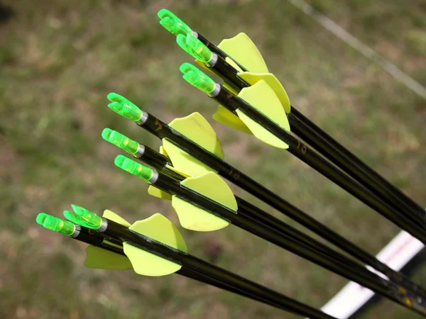 Archery range Stock Photos, Royalty Free Archery range Images ...
