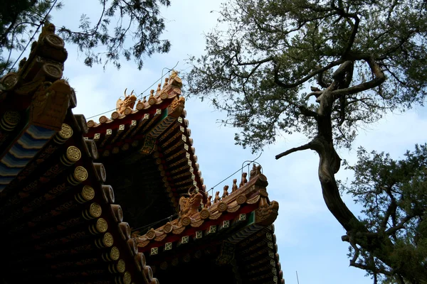 Pagoda ladder Stock Photos, Royalty Free Pagoda ladder Images ...