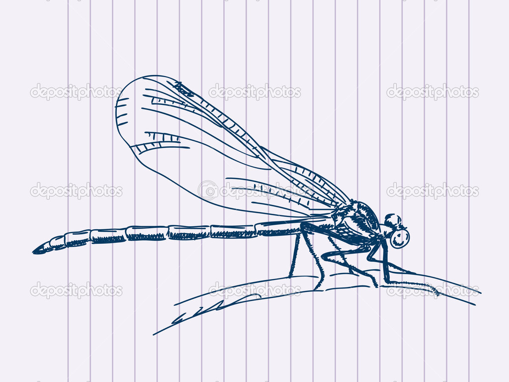 Hand gezeichneten Libelle Vektor — Stockvektor #25236139