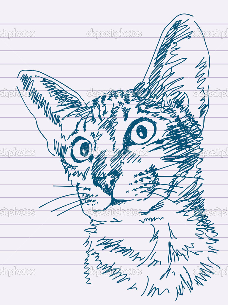 Hand drawn kitty Stock Vector Image by ©OlgaTropinina #25236227