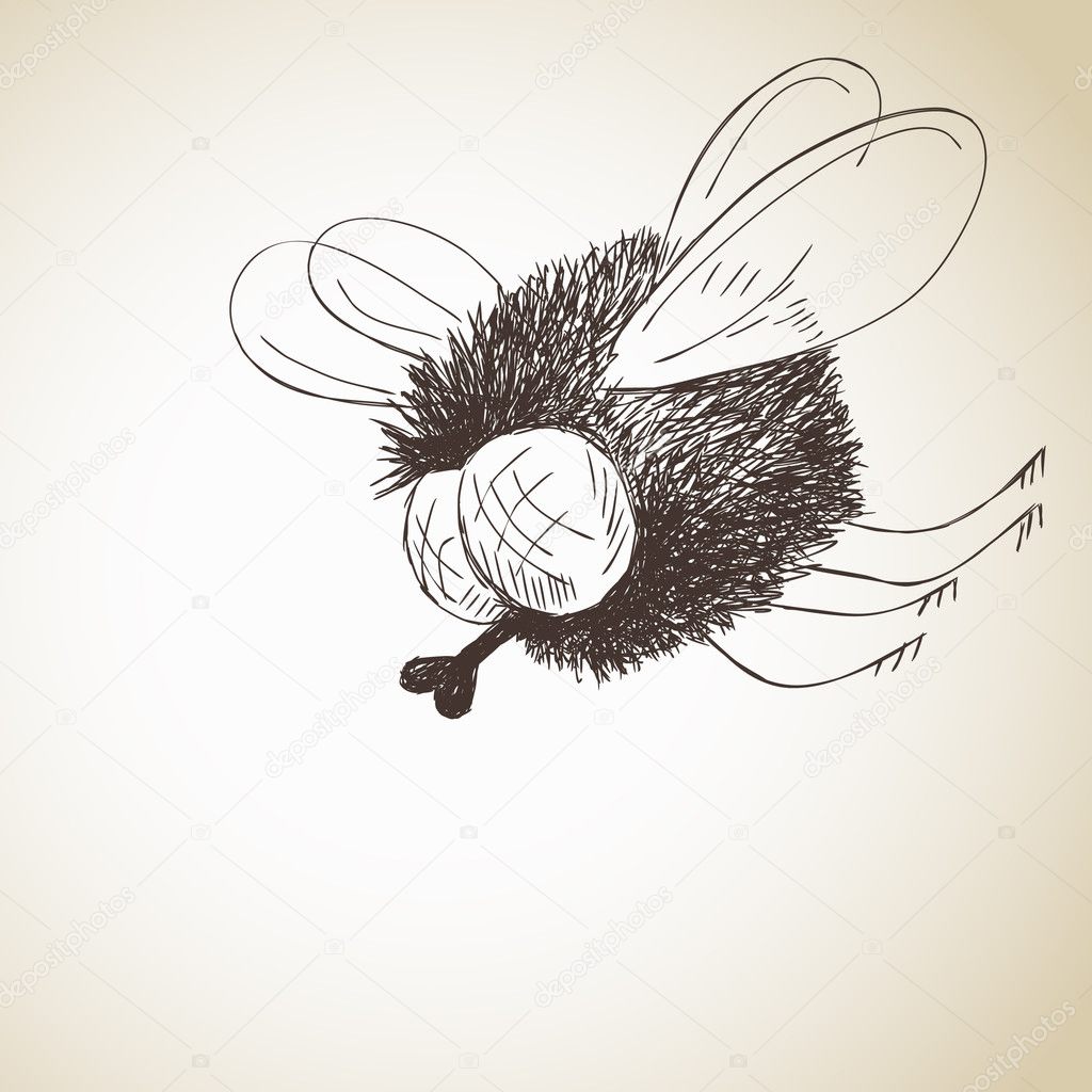 Fantasy sketch of fly Stock Vector Image by ©OlgaTropinina #26120553
