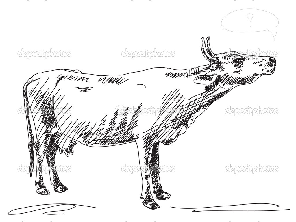 Vaca dibujada a mano Vector de stock por ©OlgaTropinina 36088017