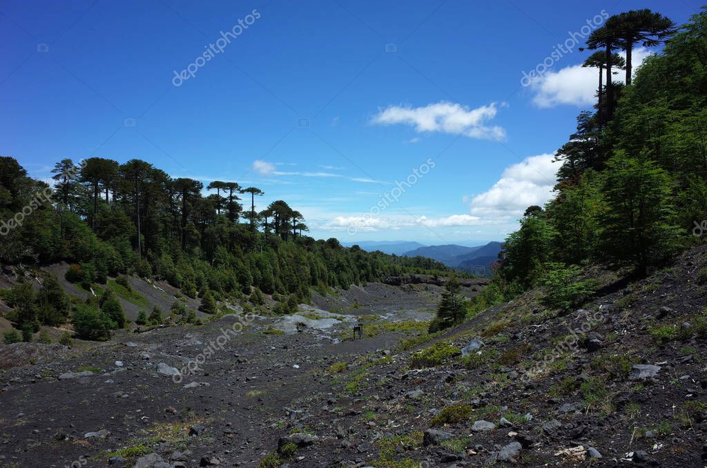 Sudam rica paisaje natural, Ca n oscuro despu s de lahar post-eruptivo en ladera de la monta a a ...