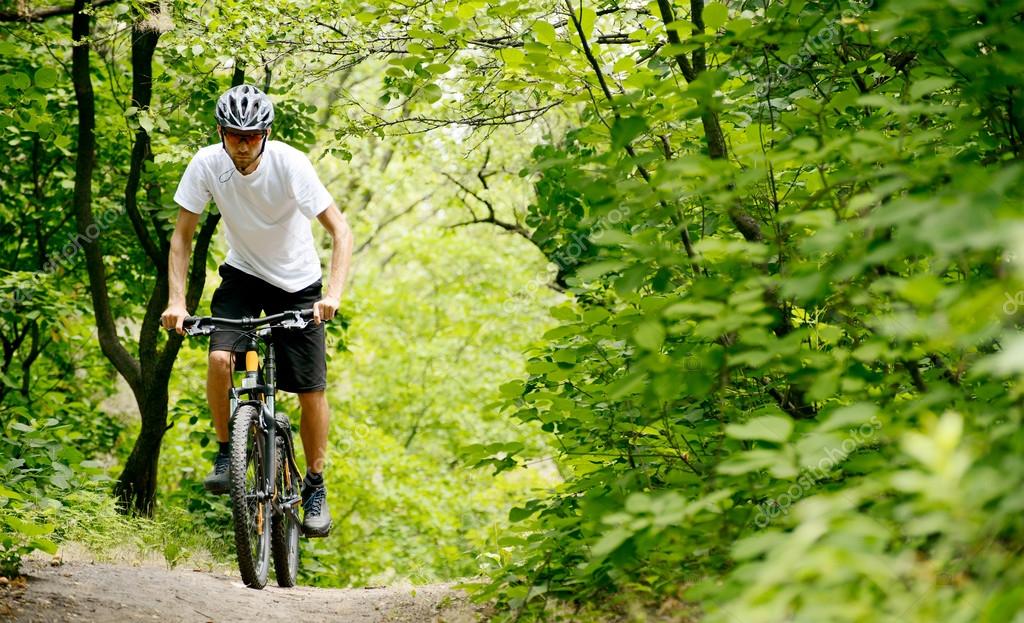 Cyclist Riding the Bike on the Trail in the Forest — Stock Photo ...