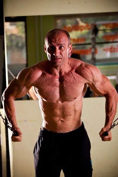 Iron cross Stock Photos, Royalty Free Iron cross Images | Depositphotos