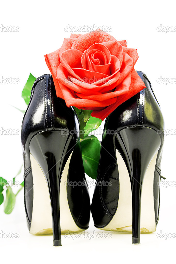 Lady shoes and red rose on a white background Stock Photo by ©Serp77 ...