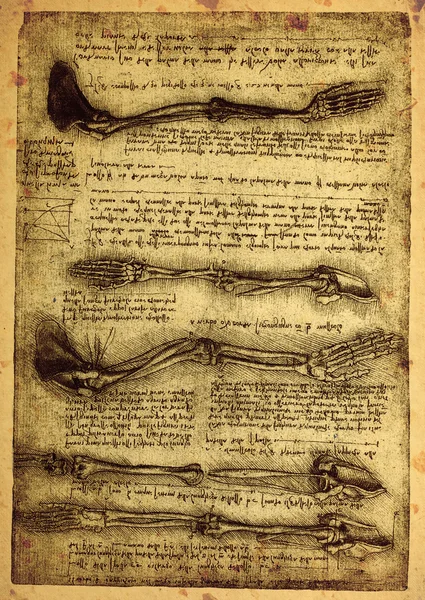 Old anatomy drawings — Stock Photo © janaka #53176233