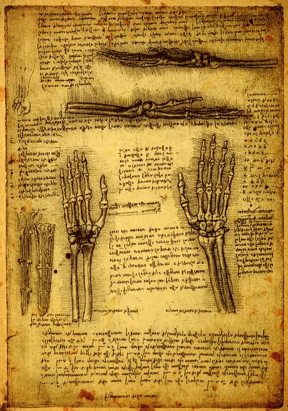 Old anatomy drawings Stock Photo by ©janaka 53222415