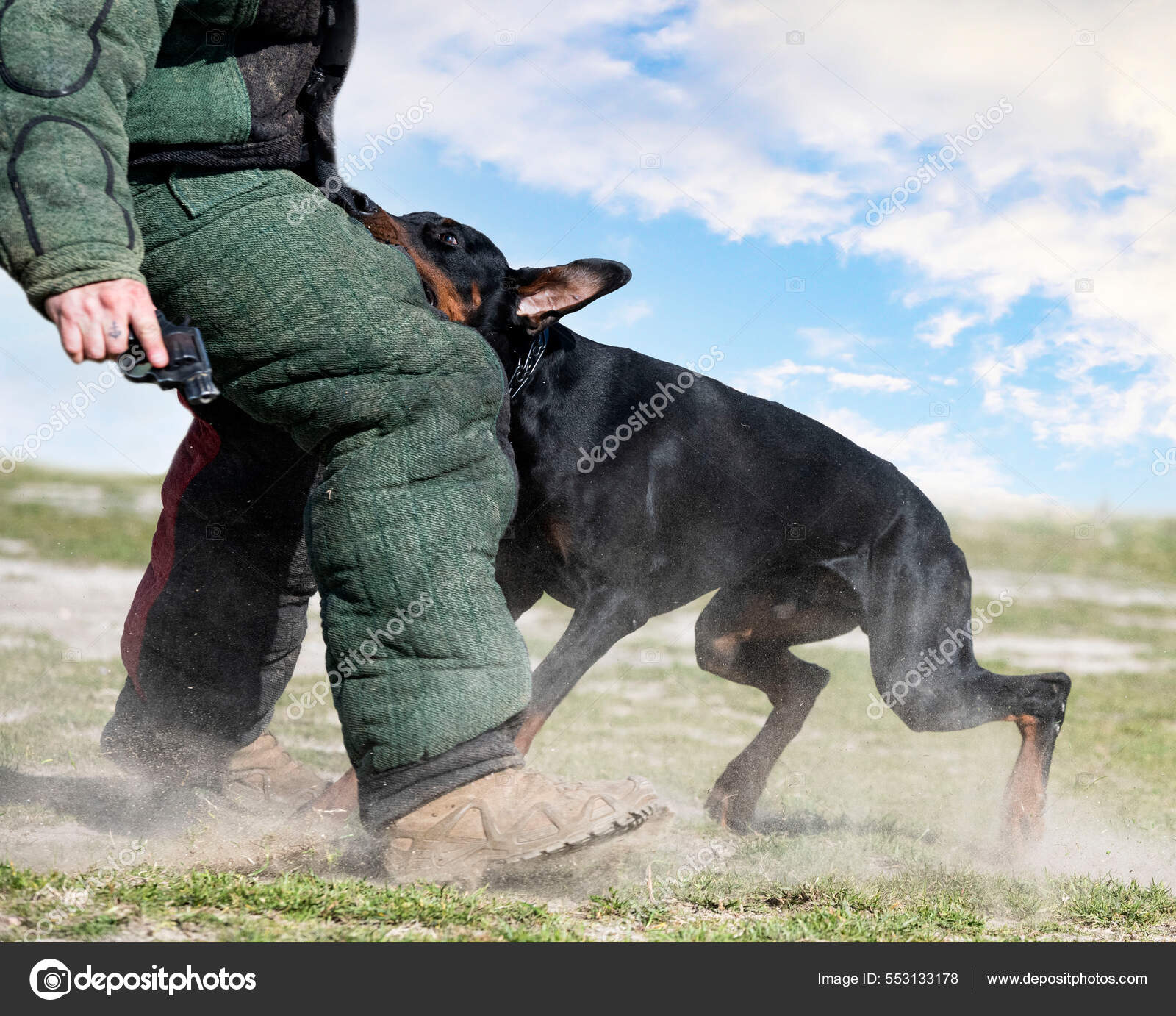 Doberman Pinscher Police Dog