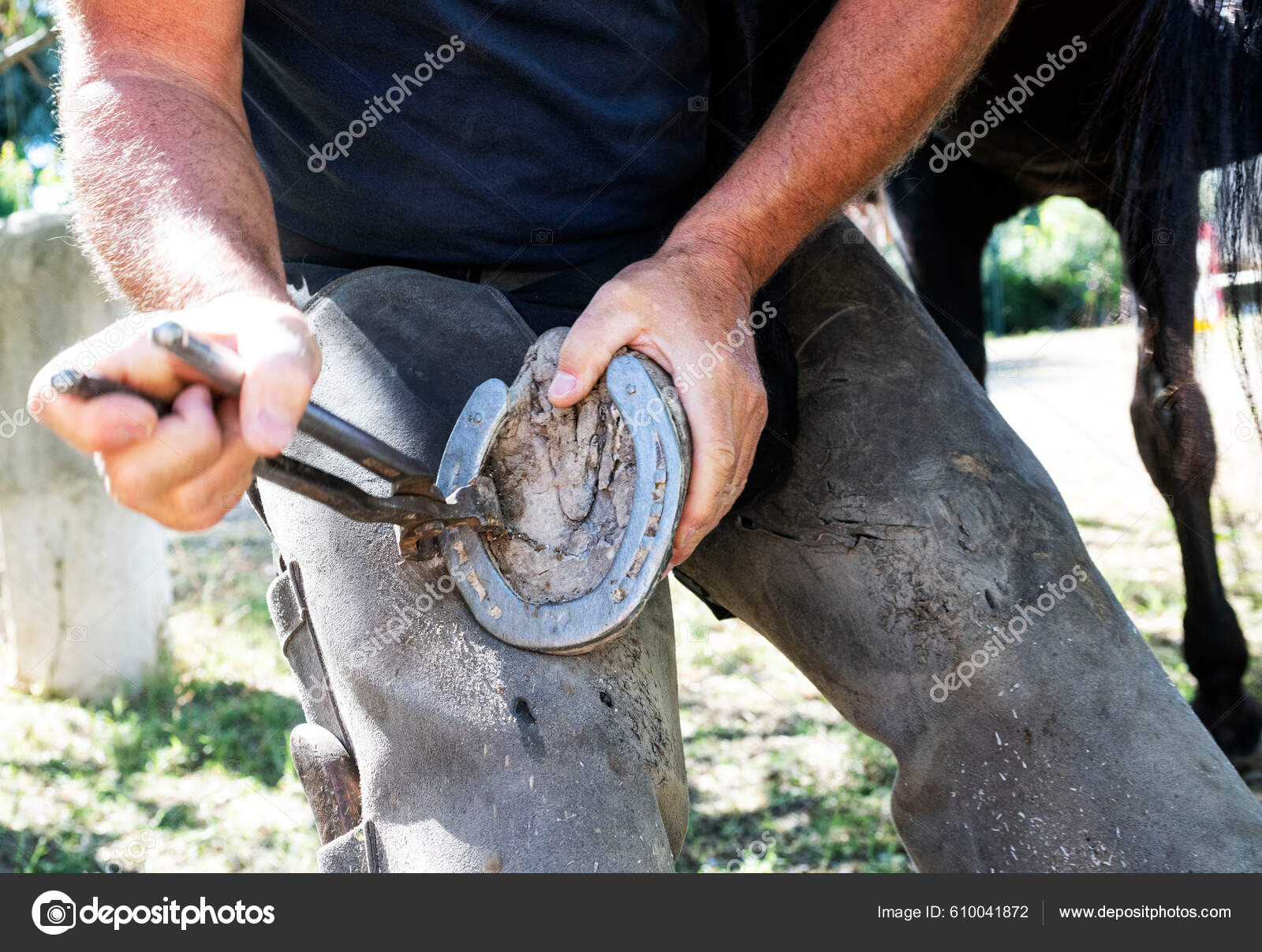 Farrier Horse Hoof Working Close — Foto de stock #610041872 © cynoclub