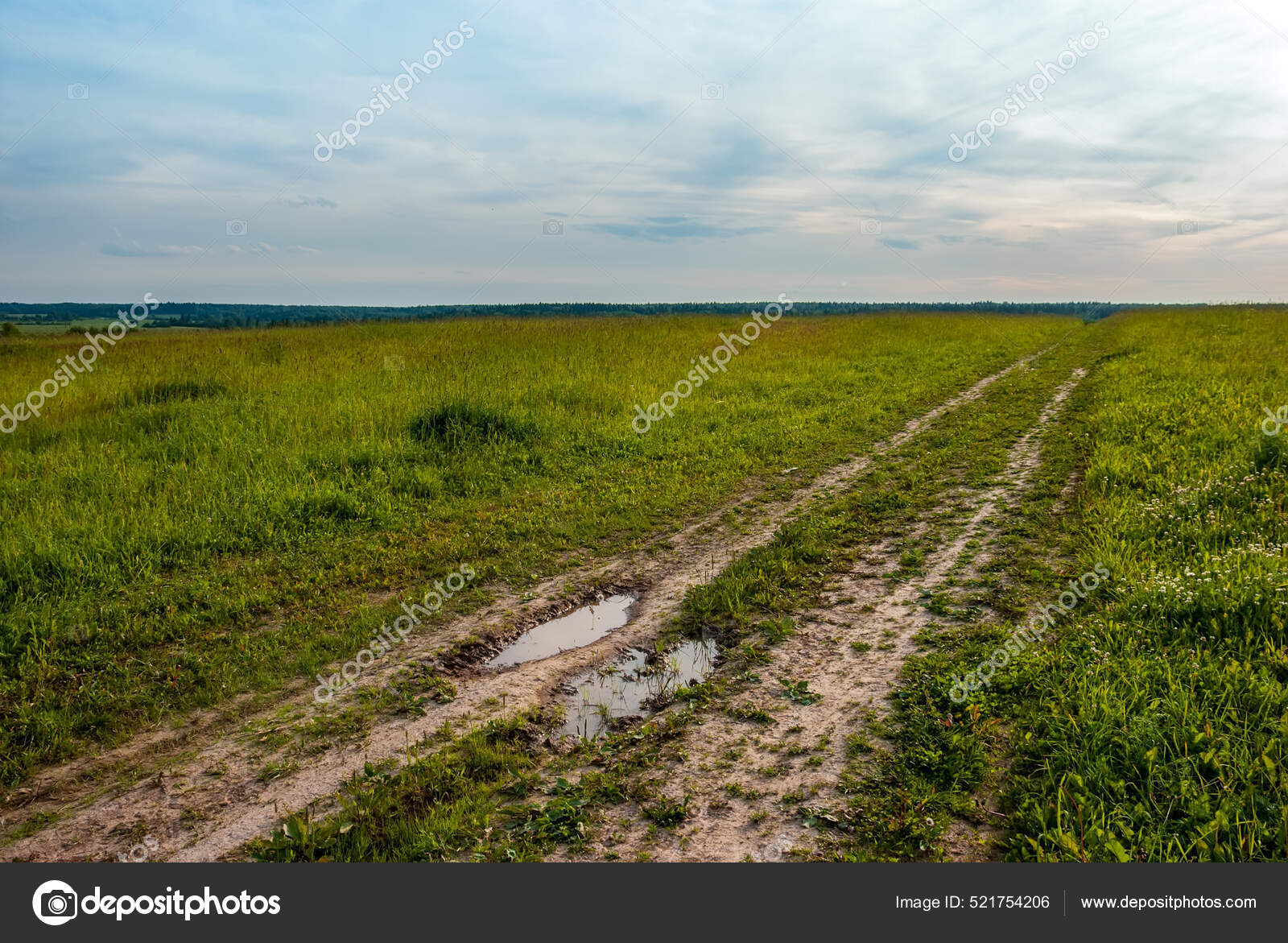 Dirt Field Background