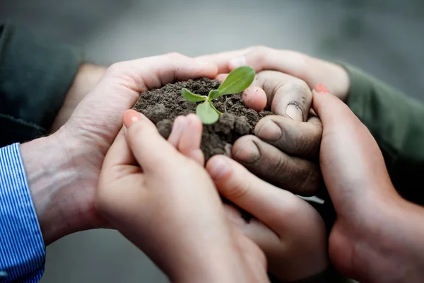 New life Stock Photos, Royalty Free New life Images | Depositphotos