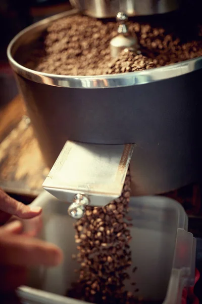 roasted coffee beans pouring from a large coffee roaster into t - Stock ...