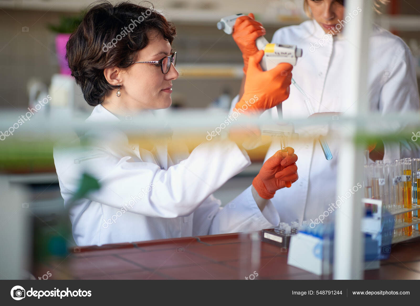 Young Female Students Pipetting Sterile Laboratory Environment Science ...