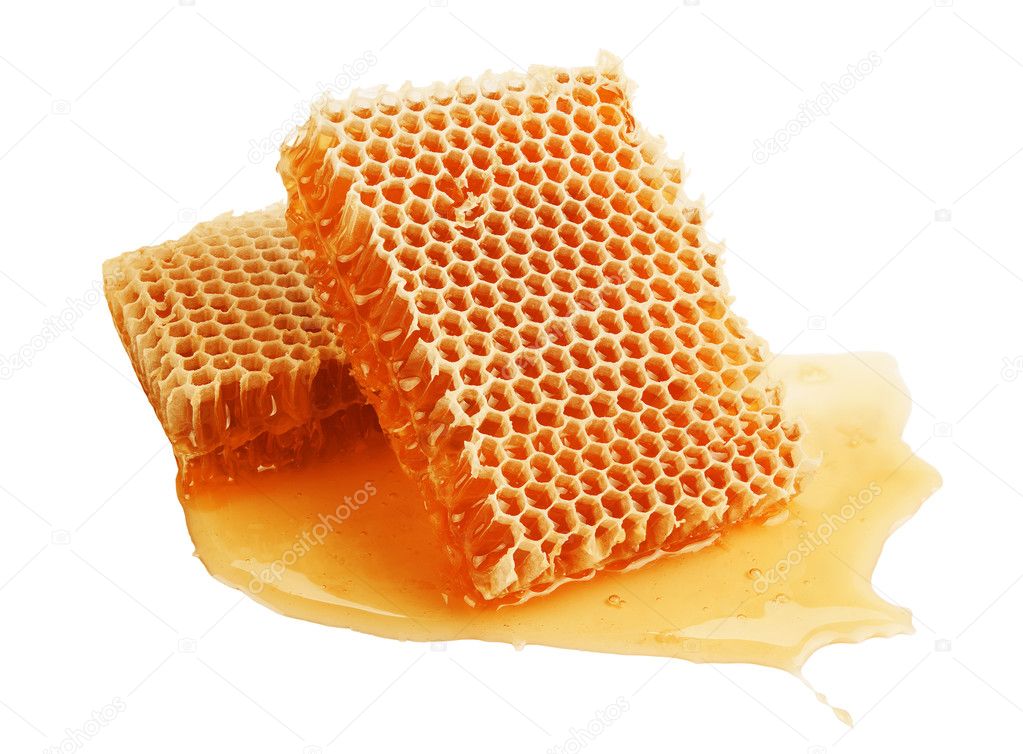 Fresh honey in comb — Stock Photo © levkro #23976183