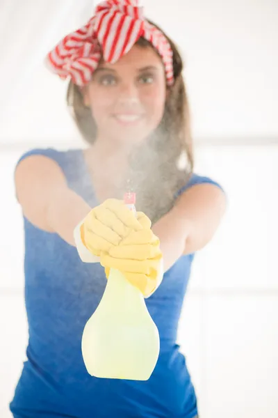 383 Funny window cleaner Stock Photos, Images | Download Funny window ...