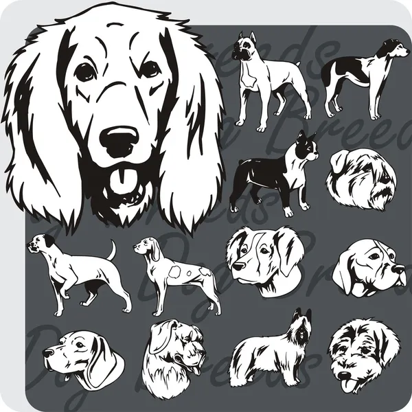 Dog Breeds - vector set — Stock Vector © Digital-Clipart #30855657