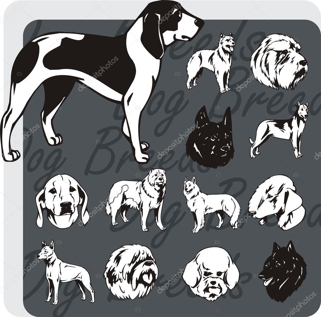Dog Breeds - vector set Stock Vector Image by ©Digital-Clipart #30855151