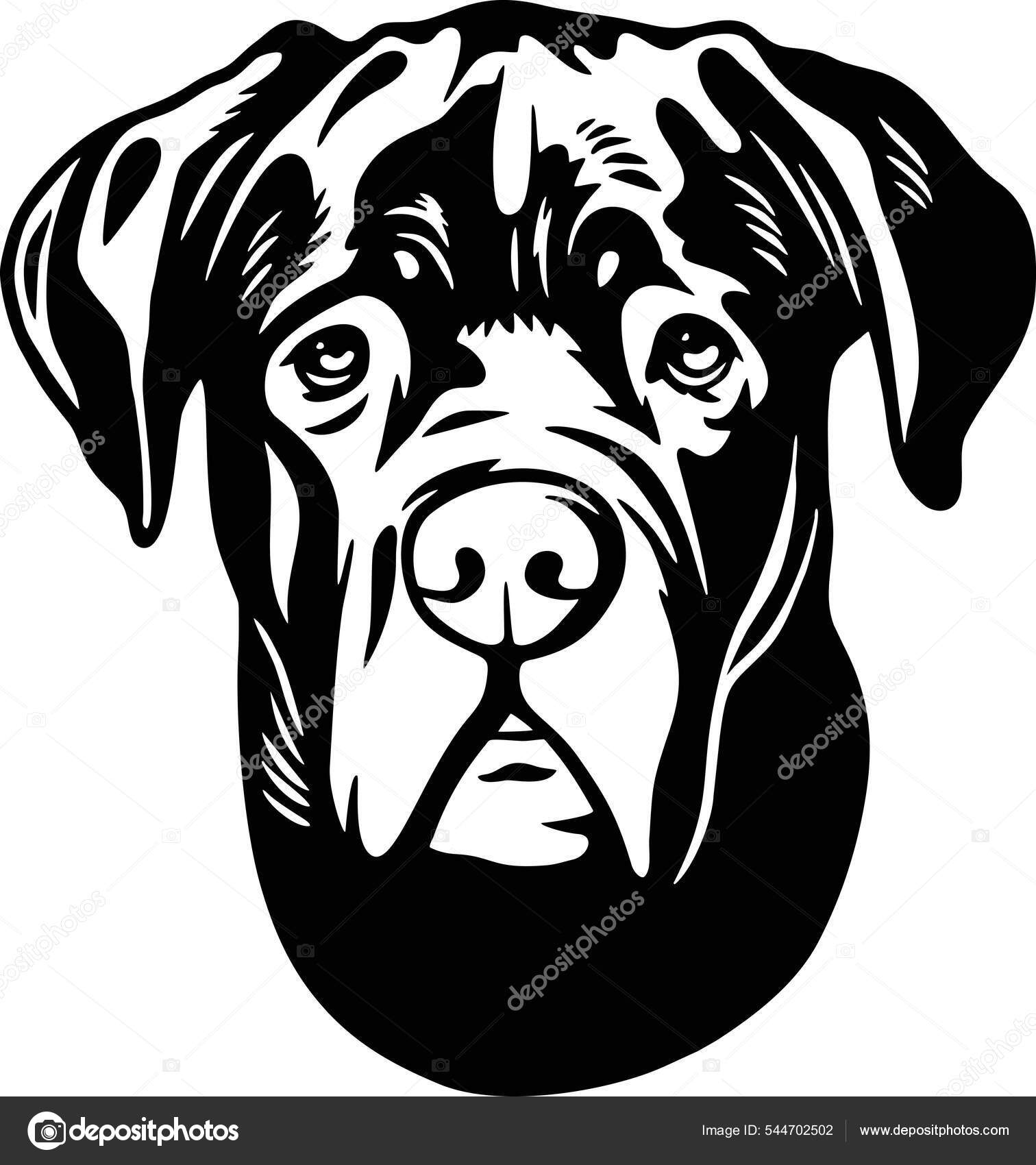 Cane Corso - Funny Dog, Vector File, Stencil for Tshirt Stock Vector ...