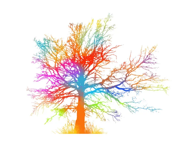Multi Colored Tree Rainbow Leaves Flowers Vector Illustration Stock ...