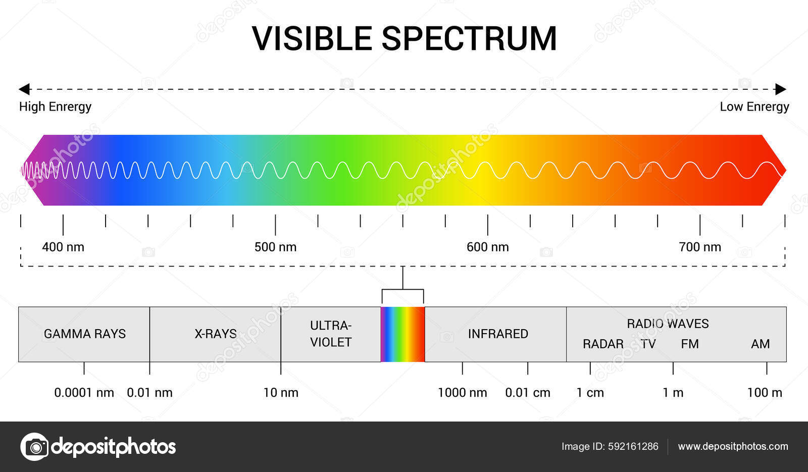 Spectrum Wavelength Visible Spectrum Color Range Educational Physics Light Line Stock Vector