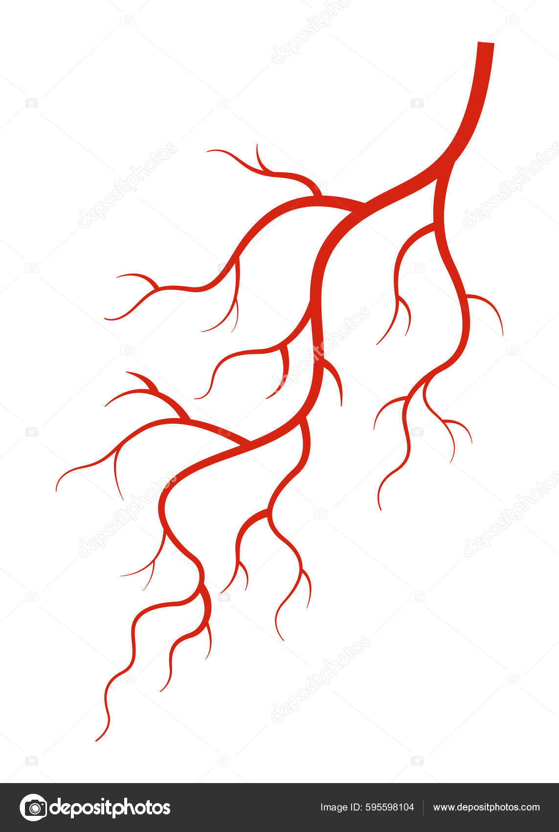 Ihmissuonet Punainen Siluettiastia Valtimot Tai Kapillaareja ...